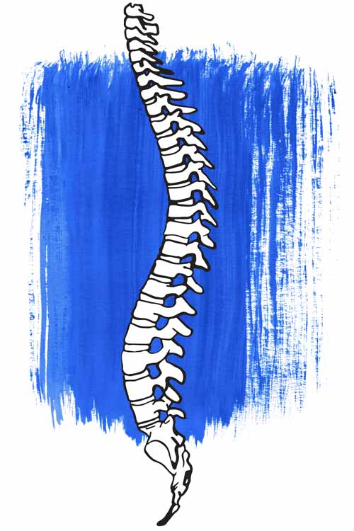 Ο ΡΟΛΟΣ ΤΟΥ ΜΕΣΟΣΠΟΝΔΥΛΙΟΥ ΔΙΣΚΟΥ - Physio.gr